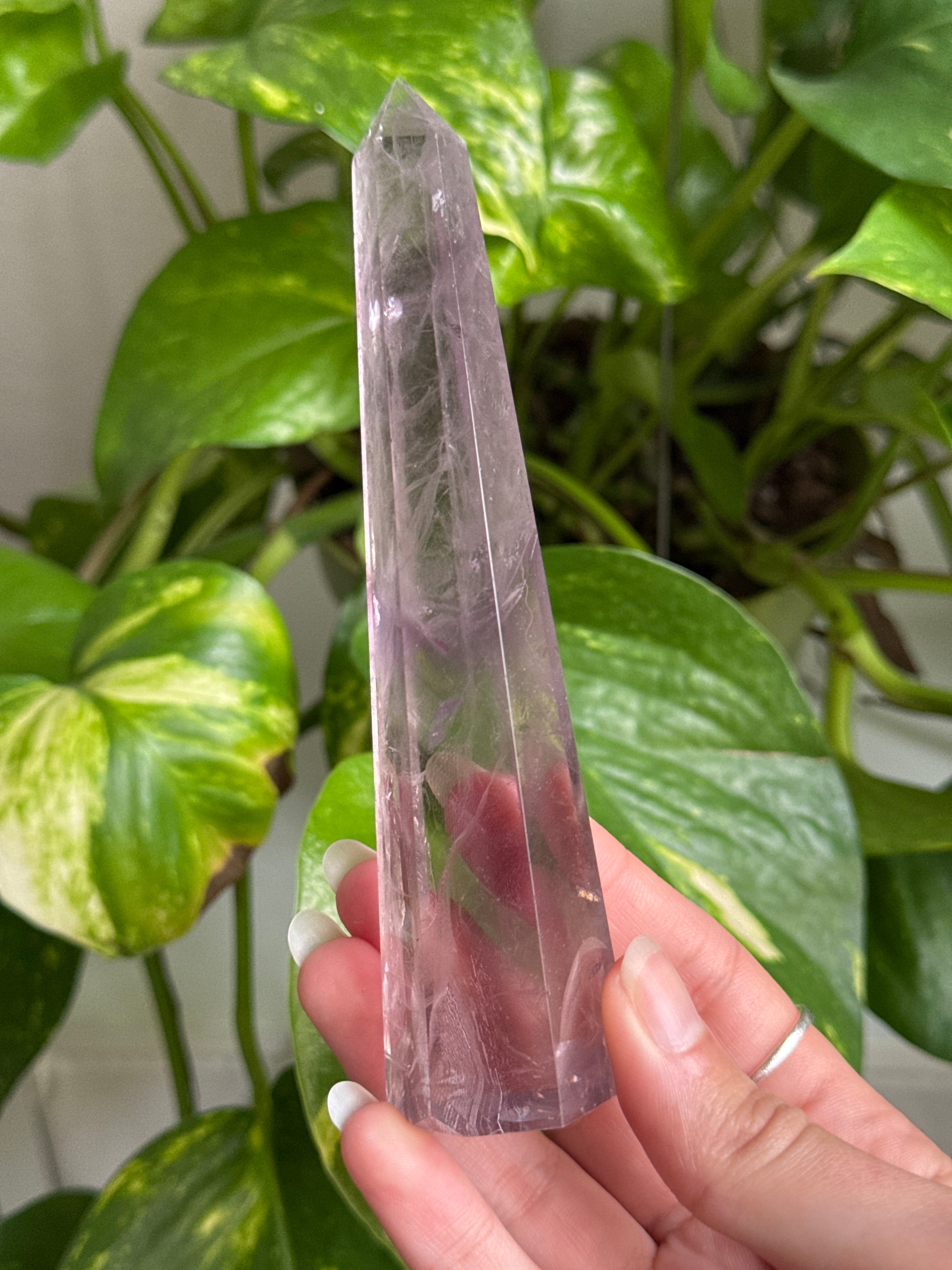 Phantom Amethyst Obelisk – GaiasWellness