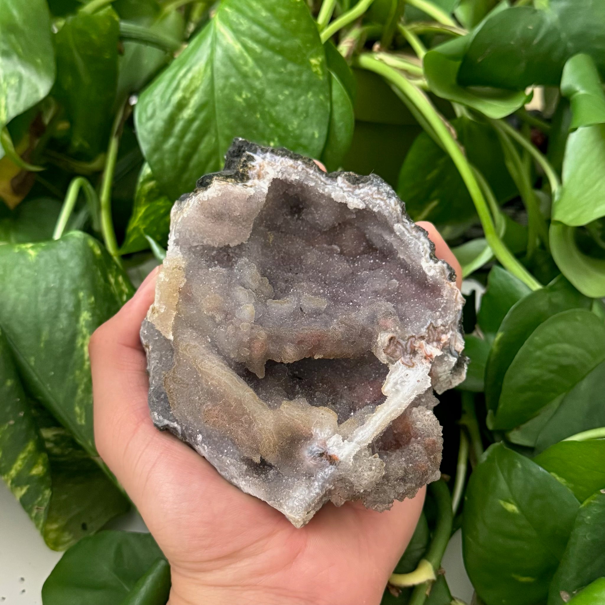 Sparkly Galaxy Amethyst Geode – GaiasWellness